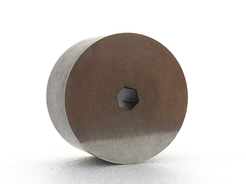 Sheng Long Industry Co,LTD.-Punch-insert-customized