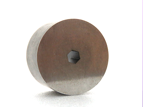 Sheng Long Industry Co,LTD.-Punch-insert-customized